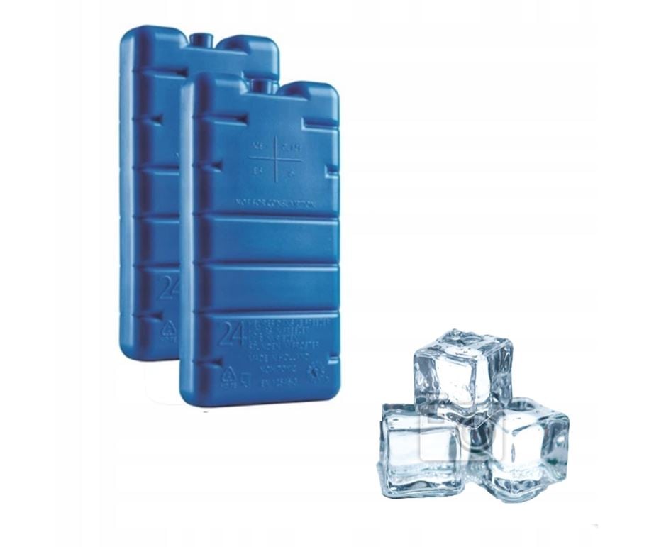 CURVER Ice Pack Insert pour réfrigérateur de voyage 2 pièces | Fera.fr