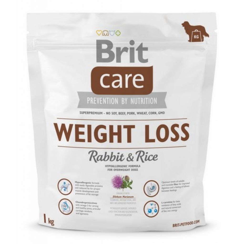 BRIT Care Weight Loss Rabbit & Rice 1 kg | Fera.fr